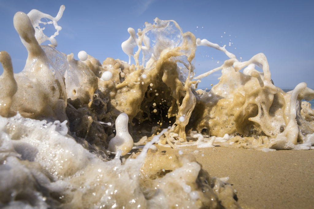 Ocean Art - Summer Splash | Rugli Photography