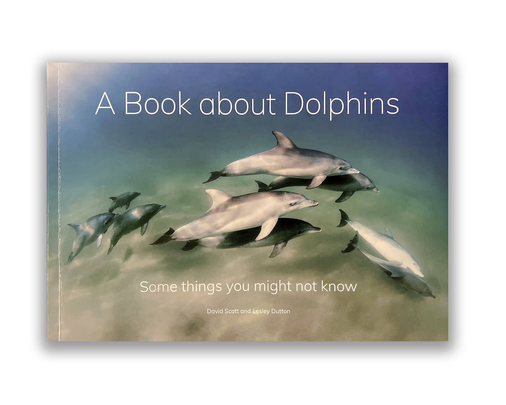 Dolphin Facts, Part 3. | Rugli Photography